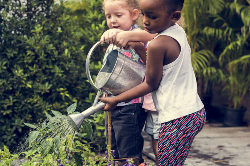 How does your garden grow? | Right Start Online