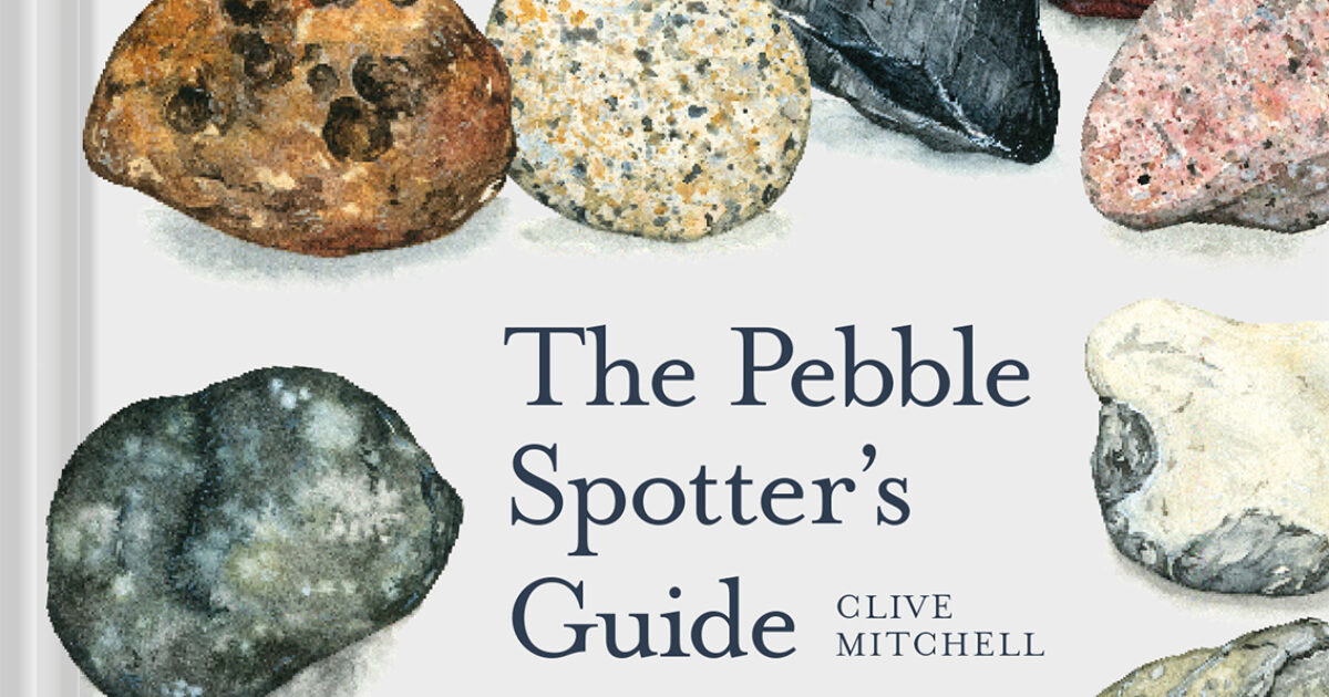 Perfect pebbles | Right Start Online